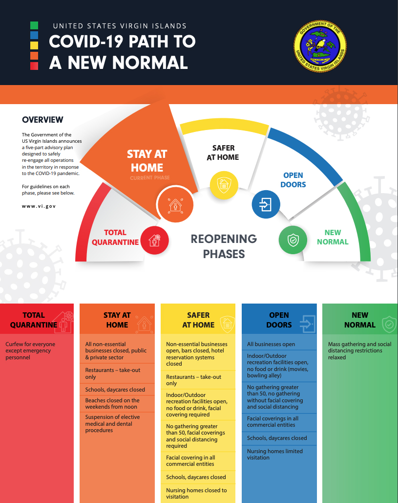 COVID-19 Stay At Home - Infographic Flyer