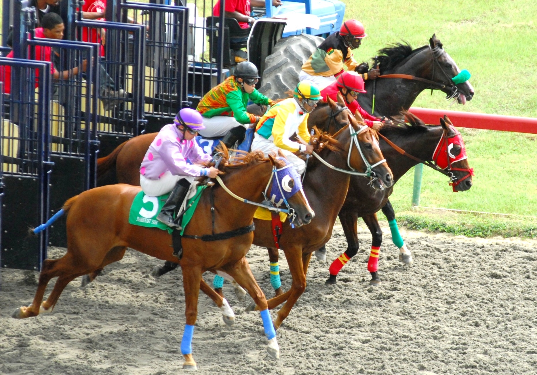 Governor Bryan Meets With Senators To Discuss Restarting Horse Racing ... Governor Bryan Meets With Senators To Discuss Restarting Horse Racing ...
